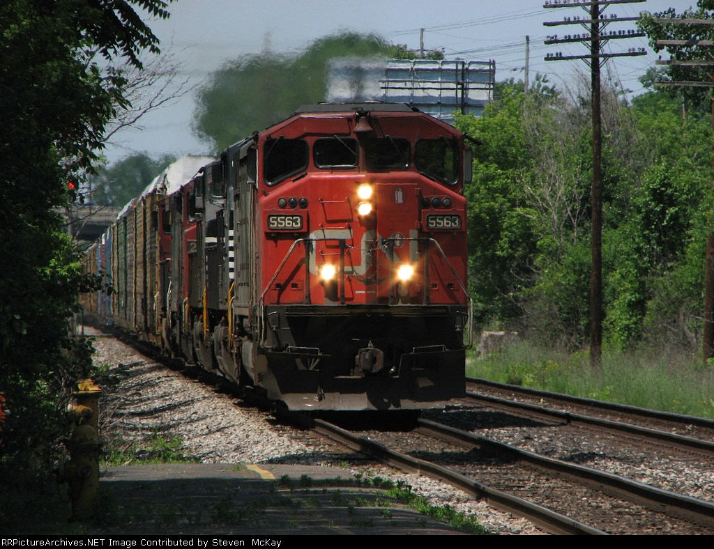 CN 5563